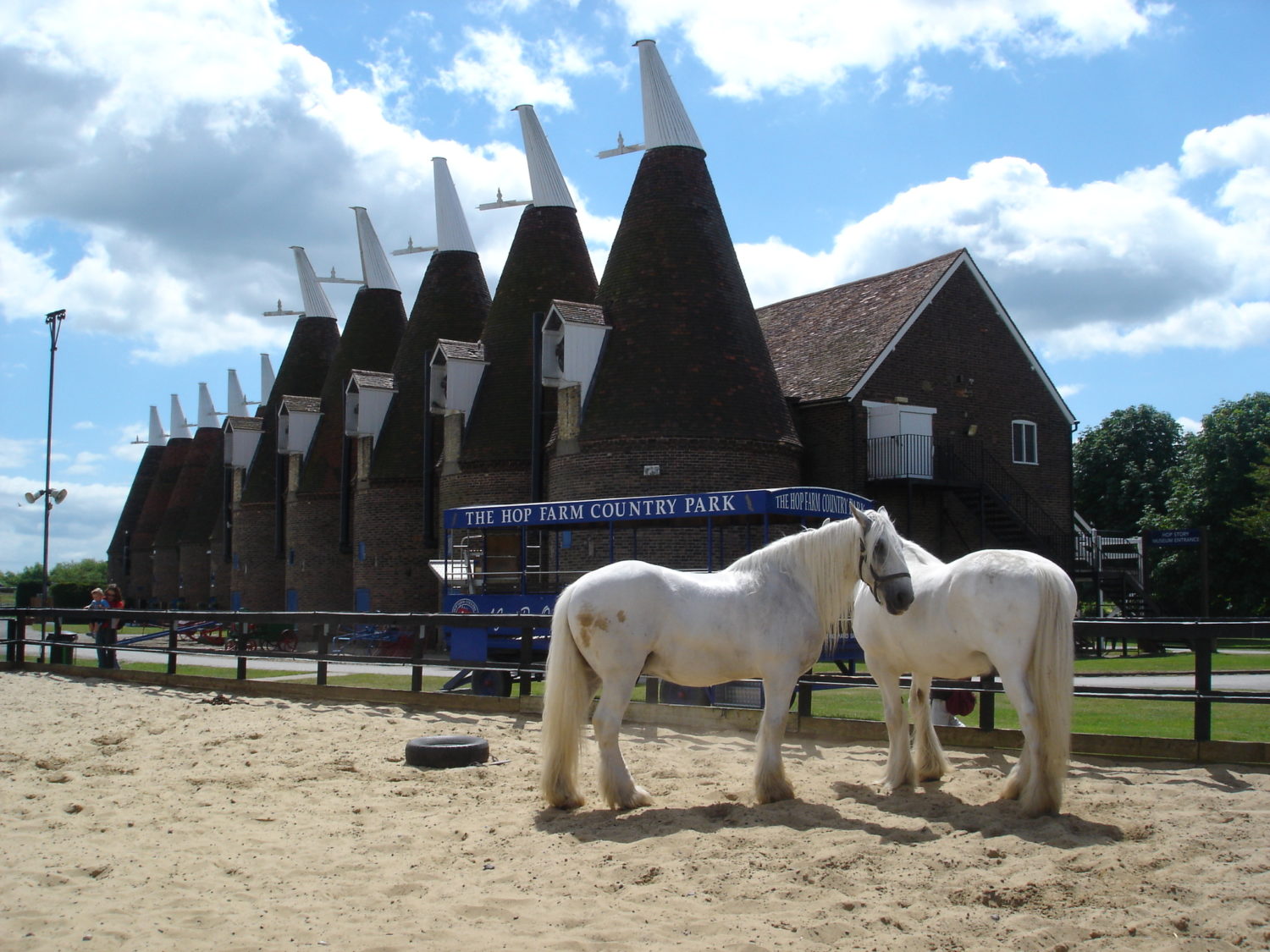 Animals - The Hop Farm